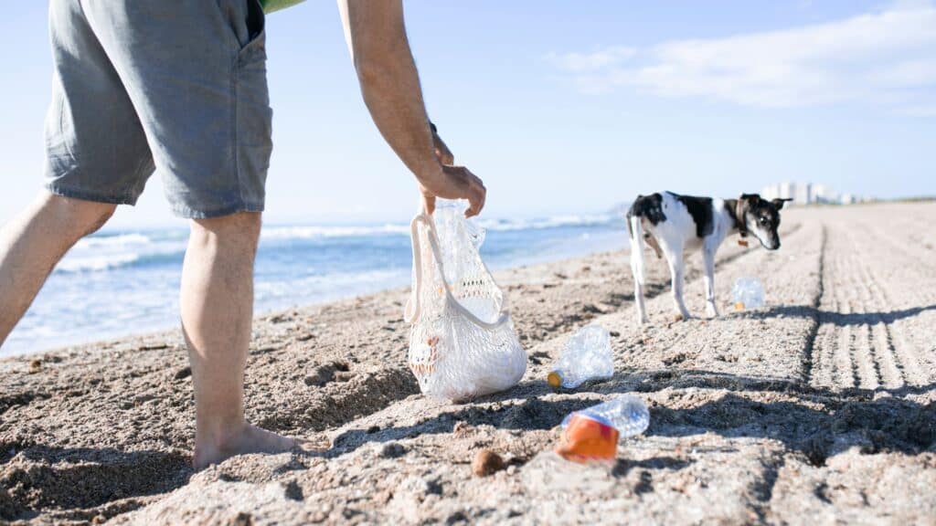 Celebrating Earth Day with Your Dog | Yappy Life